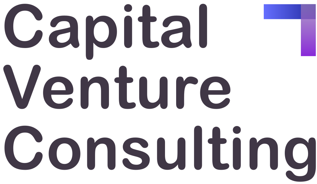 Investimenti per startup - Capital Venture Consulting